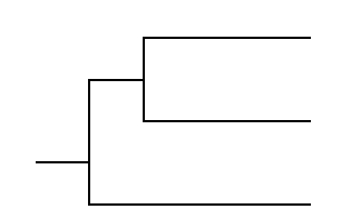 Solved The CYCS gene codes for cytochrome c, a protein that | Chegg.com
