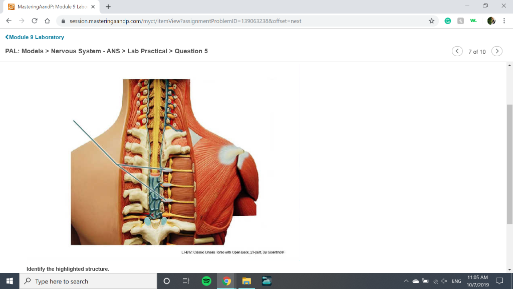 Solved: & Mastering Aand P: Module 9 Labu X + - X E → C O ... | Chegg.com