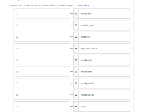 Solved Correctly match the labels to the numbers. 11 12 2 13 | Chegg.com