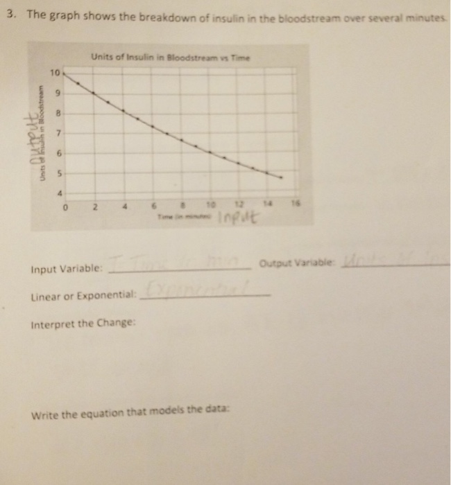Solved The graph shows the breakdown of insulin in the | Chegg.com