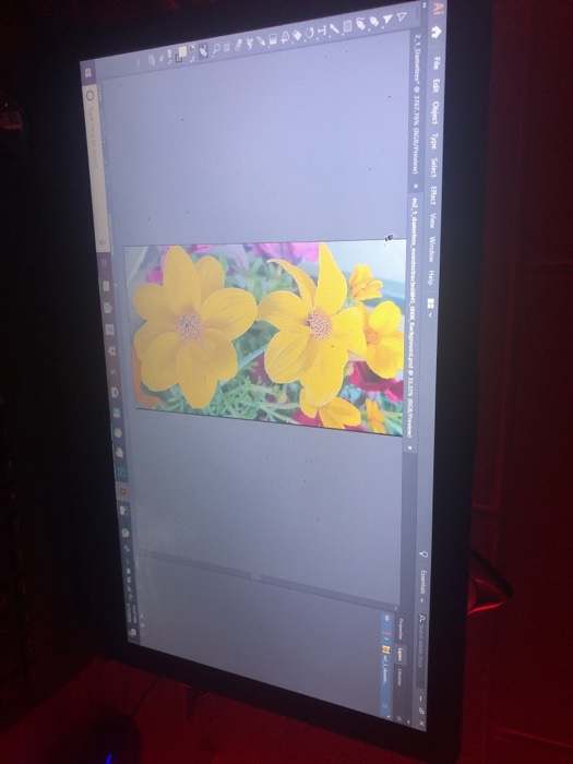 my-assignment-is-to-create-a-image-and-isolate-it-chegg