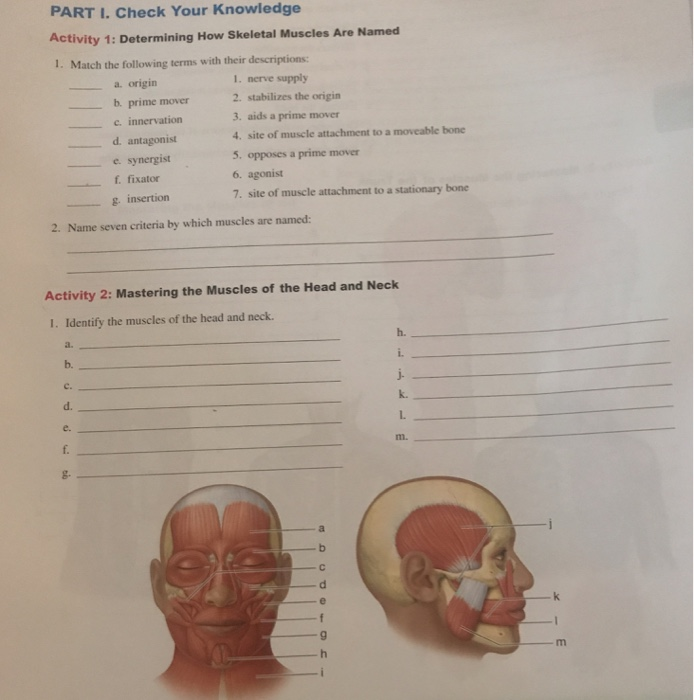 Solved PART I. Check Your Knowledge Activity 1: Determining | Chegg.com