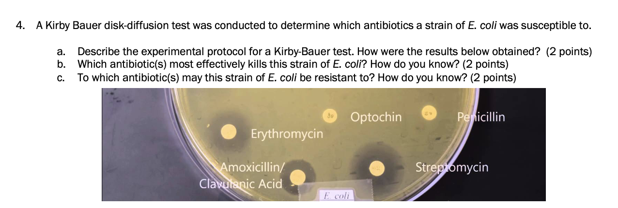 Solved A Kirby Bauer disk-diffusion test was conducted to | Chegg.com