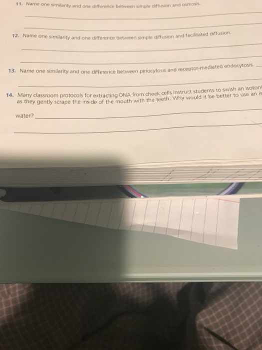 Solved 11. Name one similarity and one difference between | Chegg.com