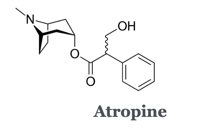 Solved Atropine (Structure is shown below) is | Chegg.com
