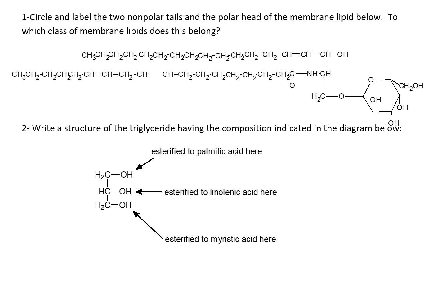1-Circle and label the two nonpolar tails and the | Chegg.com