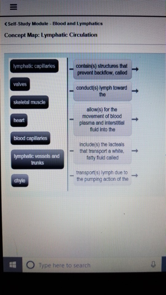 Solved concept map lymphatic circulation *ONLY USE THE | Chegg.com