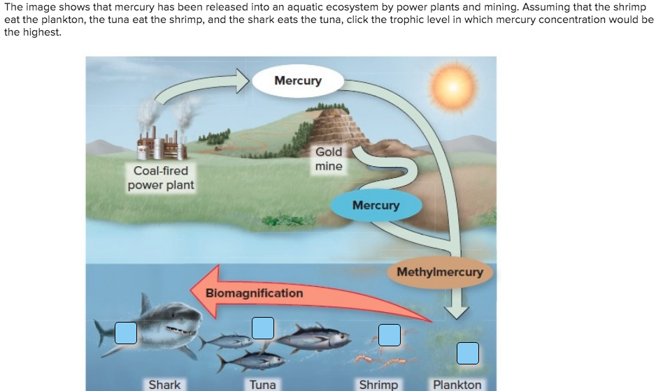 Biomagnification Mercury