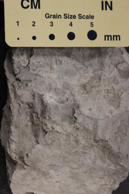 Solved CM IN Grain Size Scale 1234 - mm12 Grain Size Scale | Chegg.com