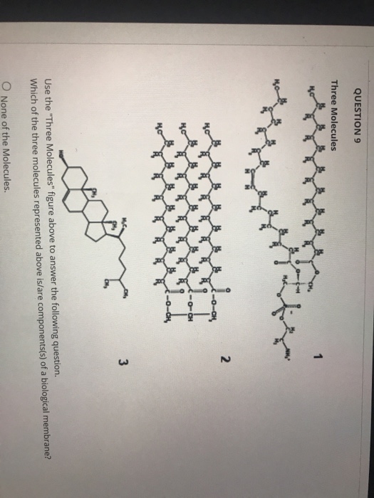 Solved QUESTION 9 Three Molecules 2 3 Use the "Three | Chegg.com