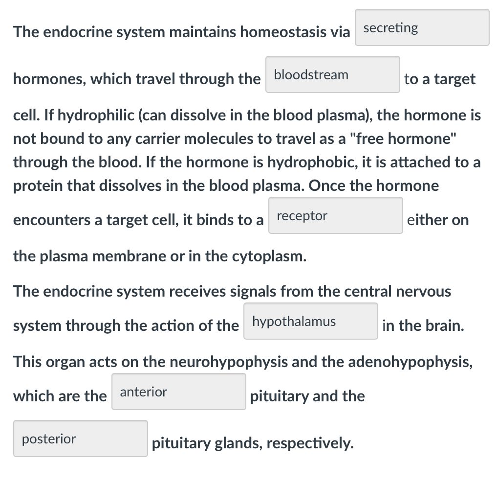 Solved The endocrine system maintains homeostasis via | Chegg.com