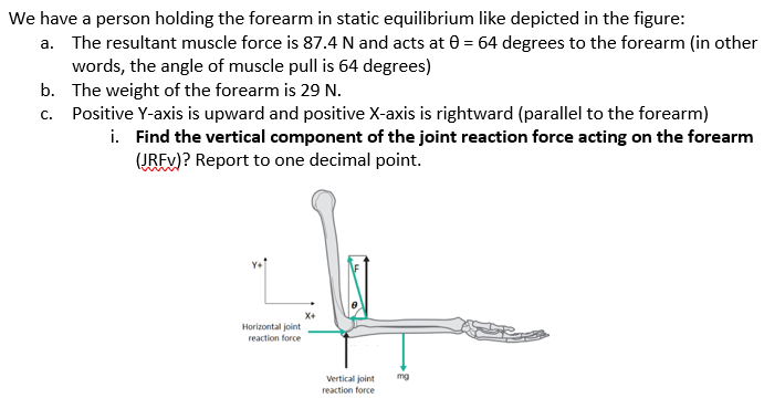 Solved We have a person holding the forearm in static | Chegg.com