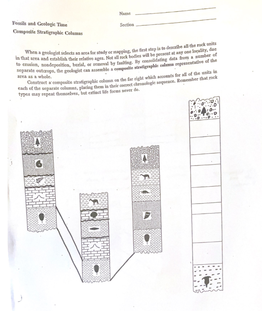 Solved Name Section Fossils and Geologic Time Composite | Chegg.com