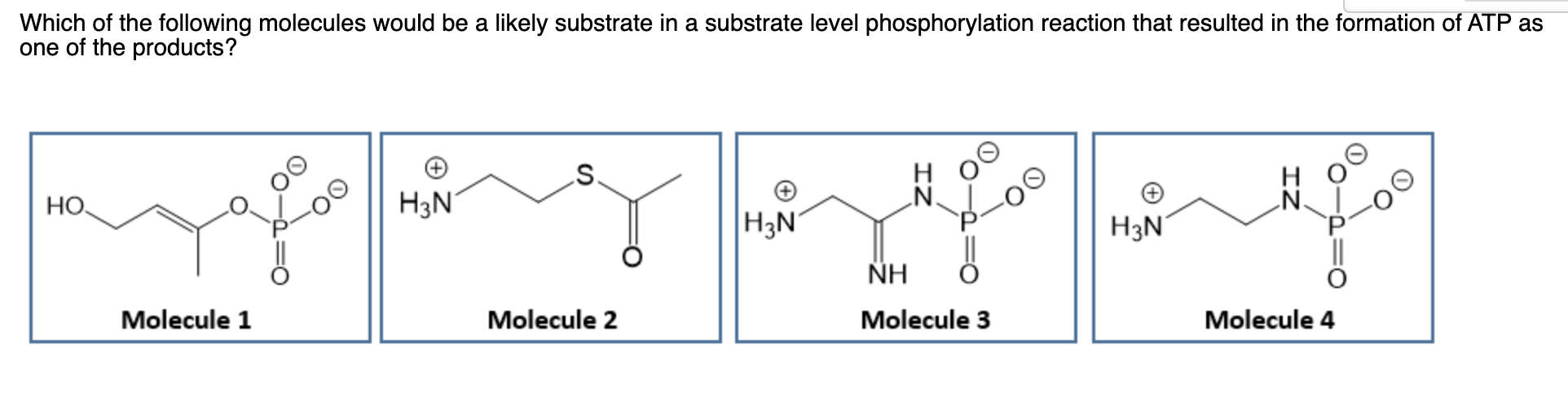 Solved Which of the following molecules would be a likely | Chegg.com