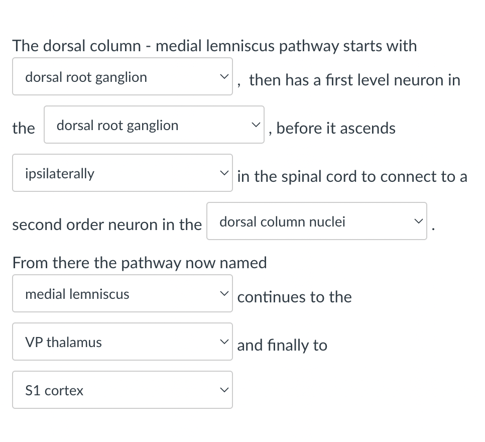 Solved The dorsal column - medial lemniscus pathway starts | Chegg.com