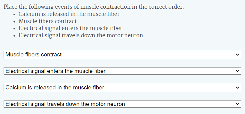 Solved Place the following events of muscle contraction in | Chegg.com