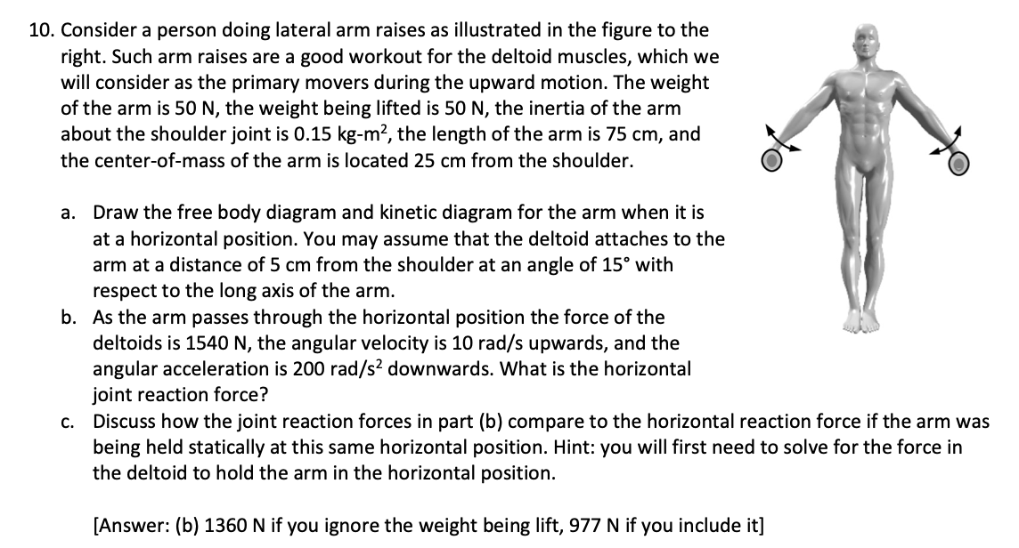 10. Consider a person doing lateral arm raises as | Chegg.com