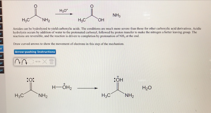 Solved NH3 H3C NH2 H3C ?? Amides can be hydrolyzed to yield | Chegg.com