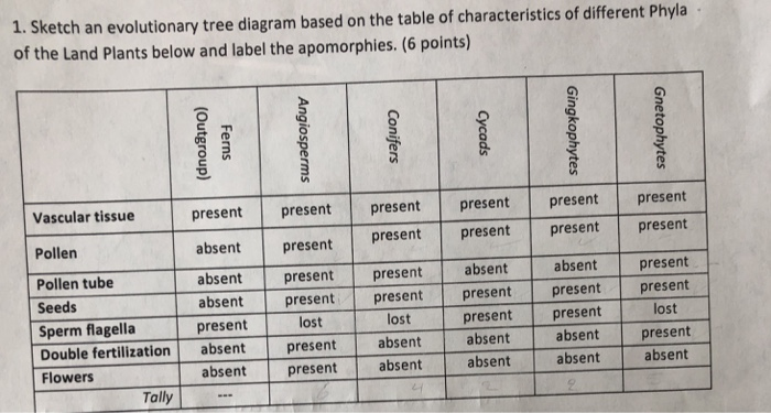 Solved 1. Sketch an evolutionary tree diagram based on the | Chegg.com