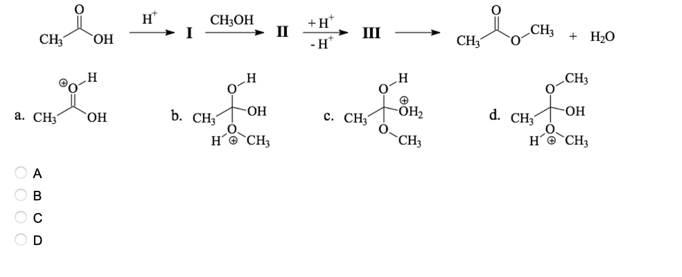 Solved In the Fisher esterification mechanism shown below, | Chegg.com