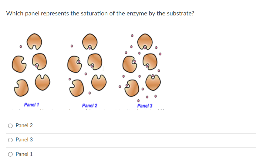 Solved Which panel represents the saturation of the enzyme | Chegg.com