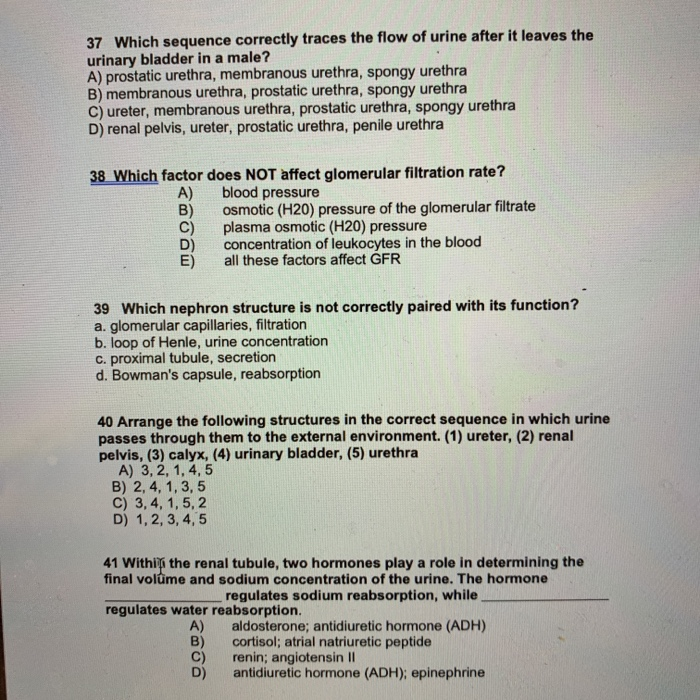 Solved 37 Which sequence correctly traces the flow of urine | Chegg.com Solved 37 Which sequence correctly traces the flow of urine | Chegg.com