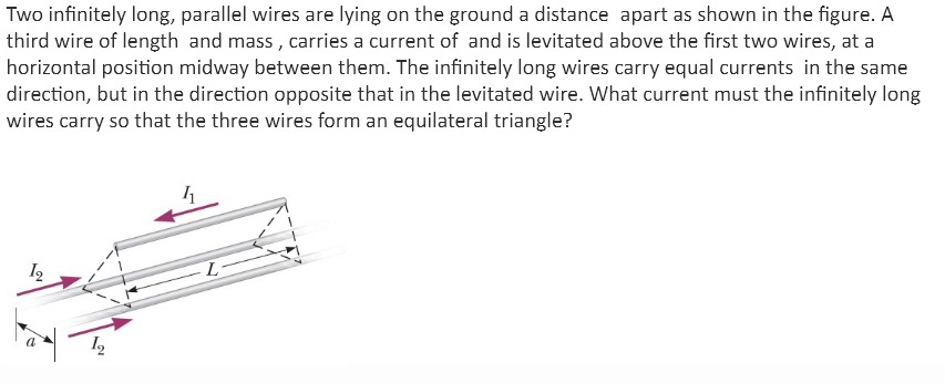 Two infinitely long, parallel wires are lying on the | Chegg.com