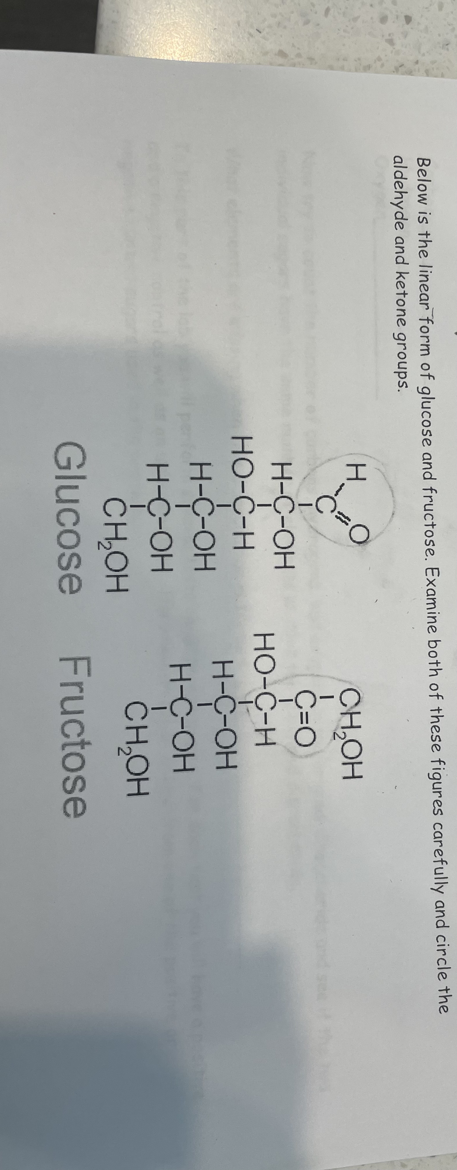 Solved Below is the linear form of glucose and fructose. | Chegg.com