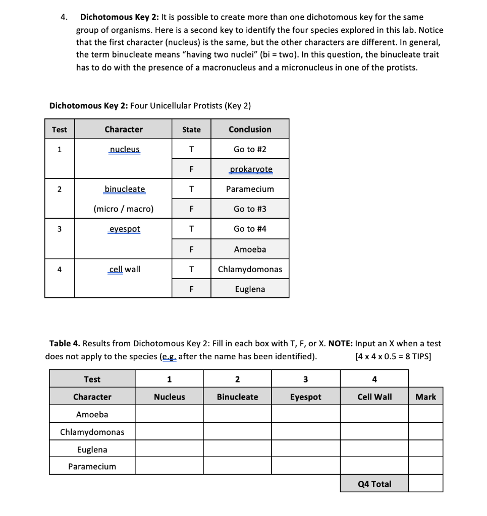 Solved 4. Dichotomous Key 2: It is possible to create more | Chegg.com