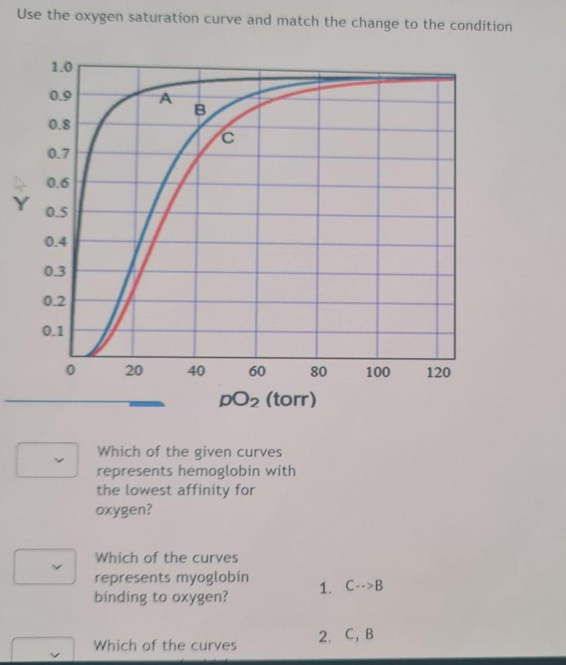 Solved Use the oxygen saturation curve and match the change | Chegg.com