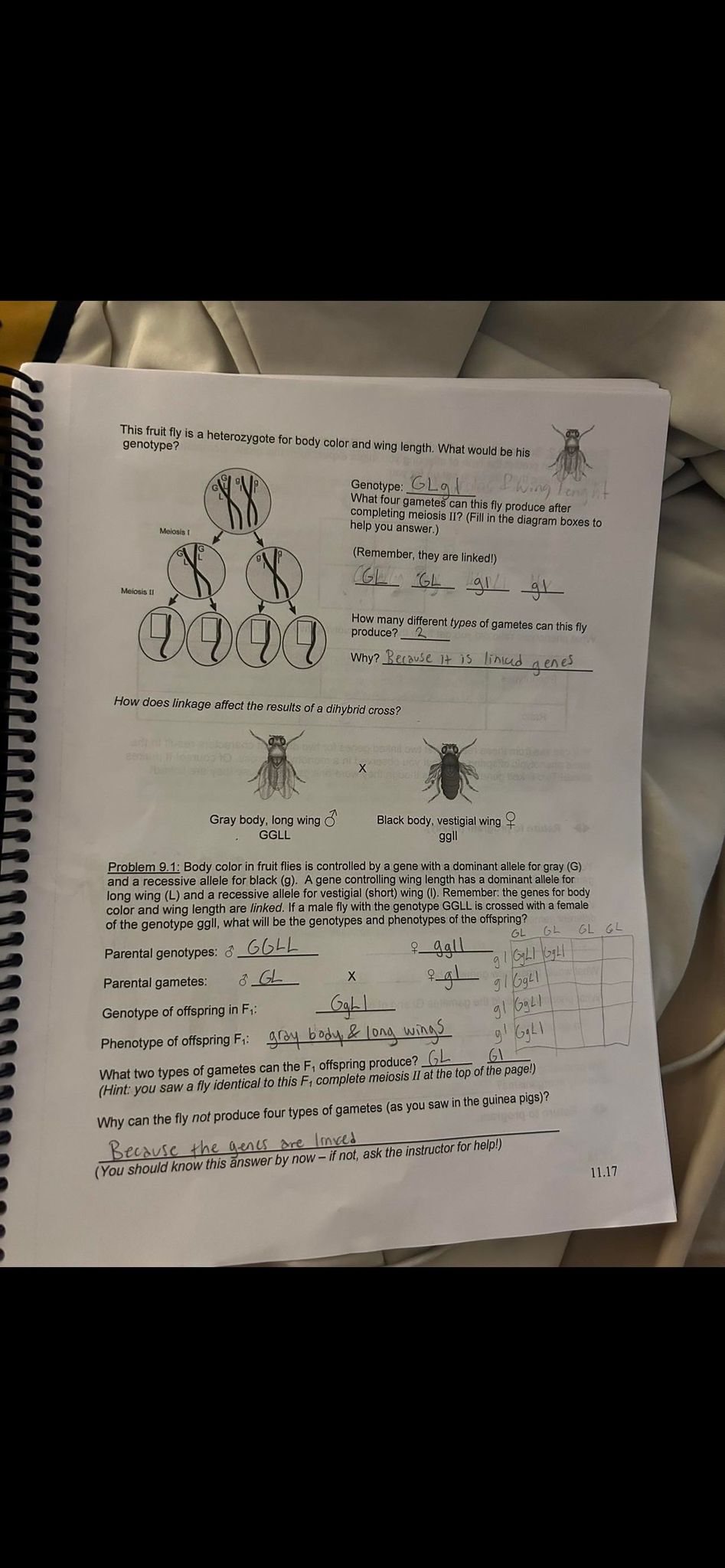 Solved Hi I need some help to go through these questions and | Chegg.com