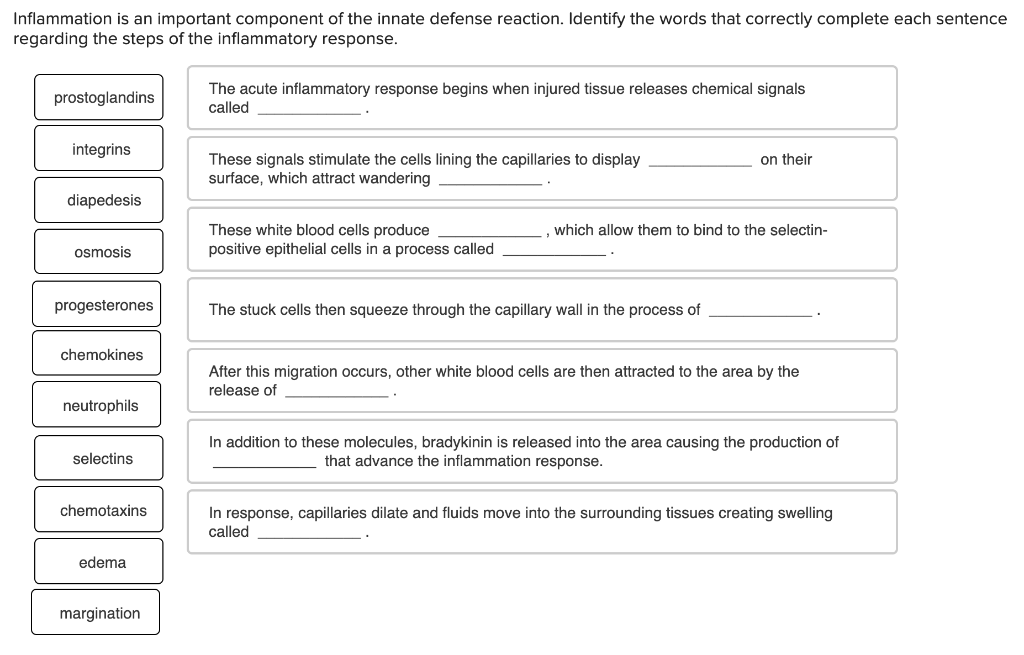 Inflammatory Response Steps
