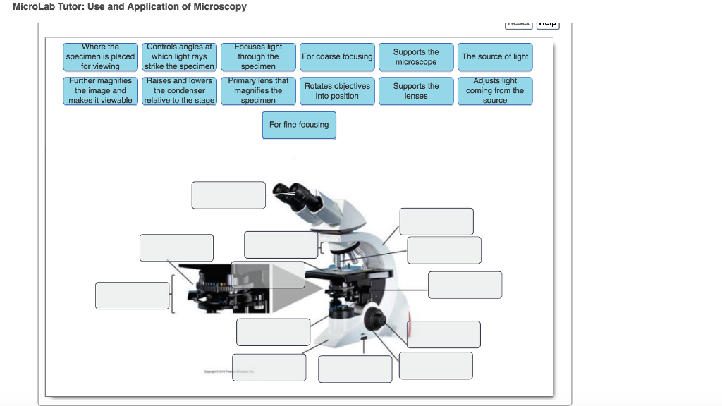 Solved MicroLab Tutor: Use and Application of Microscopy | Chegg.com