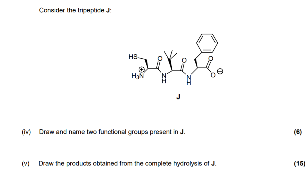 Solved Consider the tripeptide J: HS- H3N IZ (iv) Draw and | Chegg.com