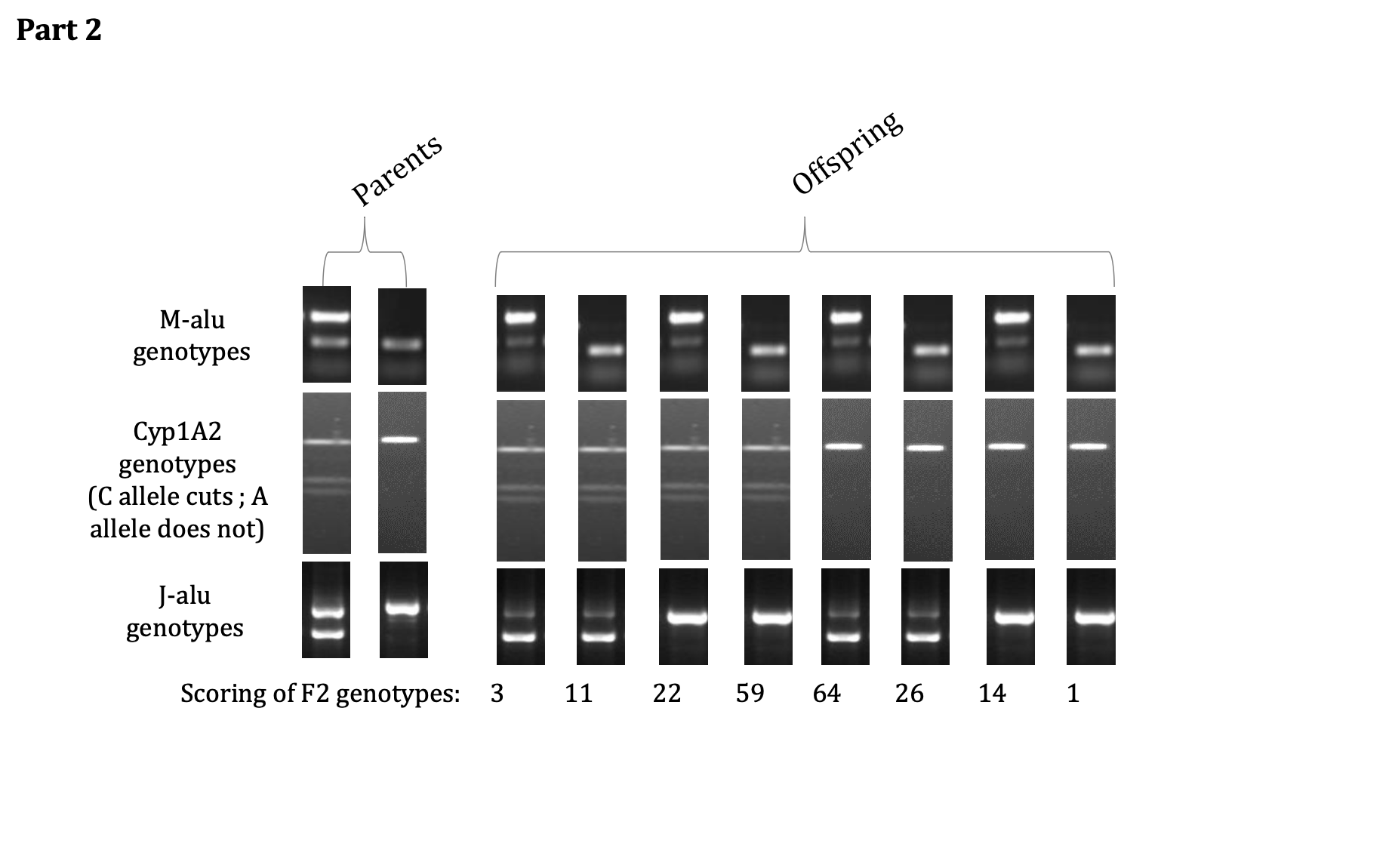 How do I answer these questions? I don't know what to | Chegg.com