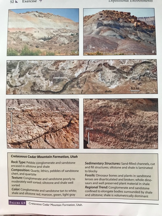 Solved Depositional Environments 51 Exercise 4 3. Rocks of | Chegg.com