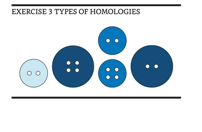 Solved Exercise 3 types of Homologies Review the materials | Chegg.com