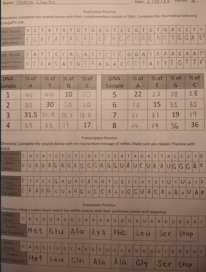 Solved Replication Practice Directions: Complete the strands | Chegg.com