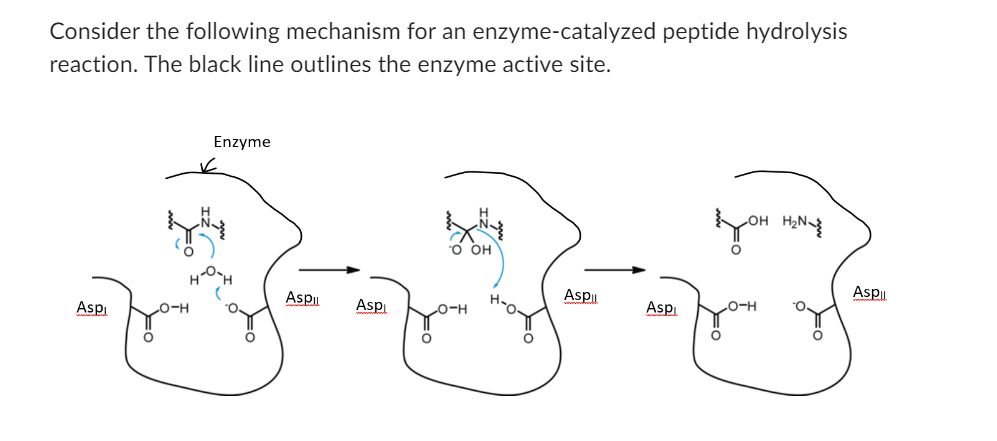 [Solved]: Consider the following mechanism for an enzyme-c