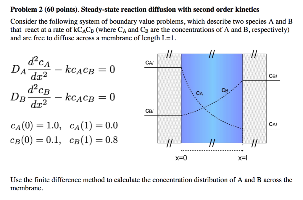 Solved Problem 2 (60 points). Steady-state reaction | Chegg.com