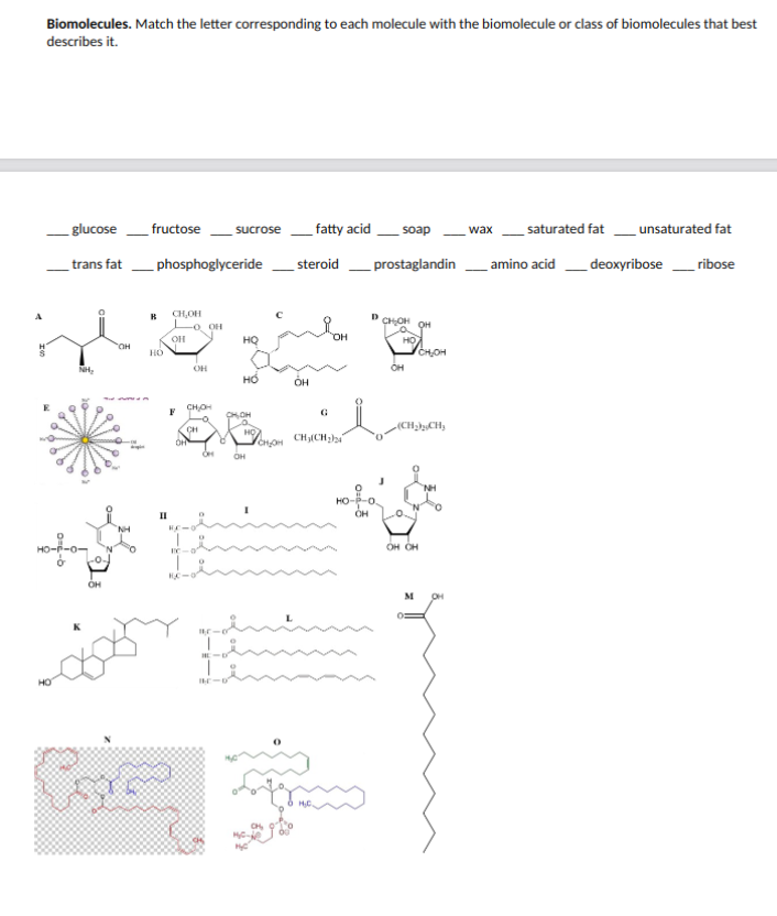 Solved Biomolecules. Match the letter corresponding to each | Chegg.com