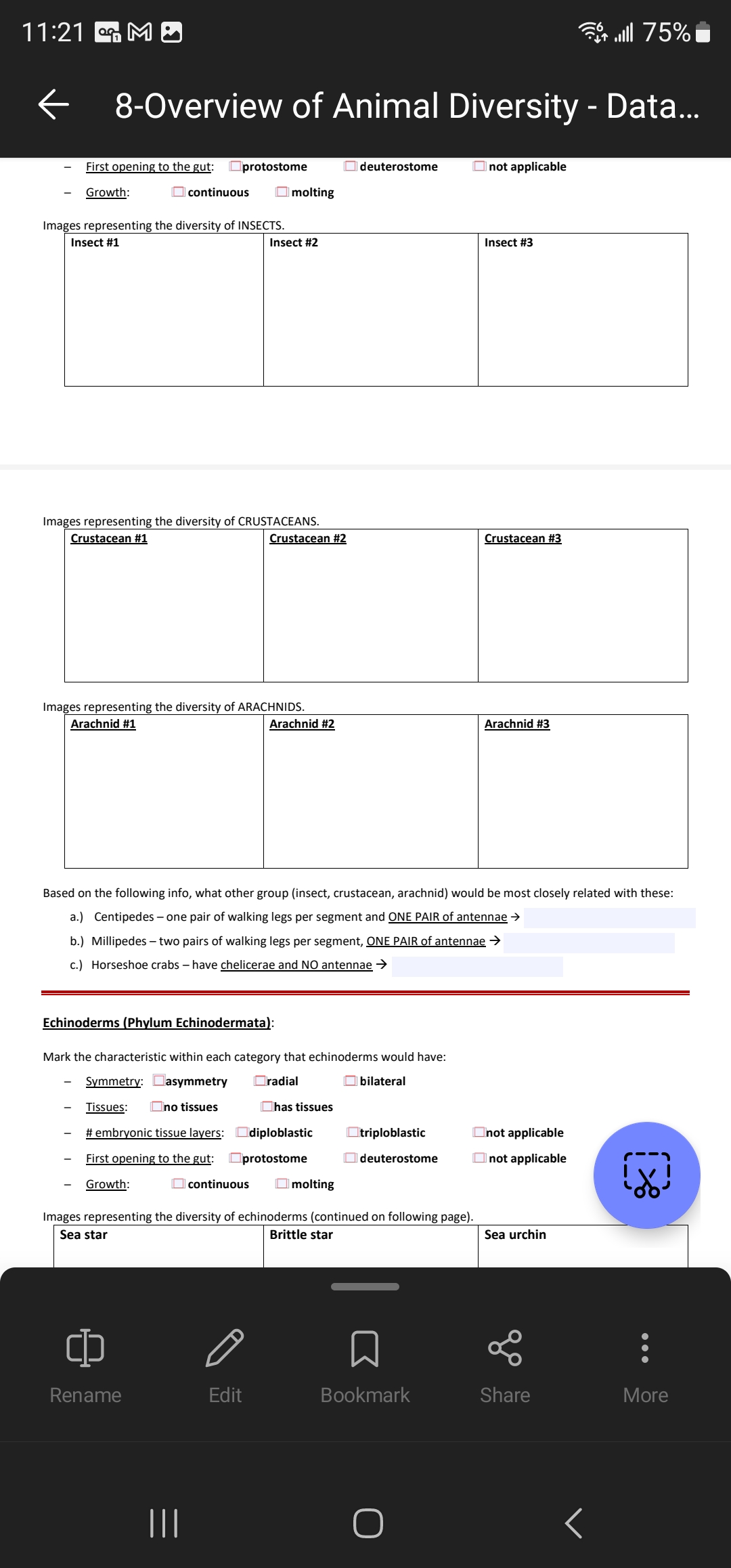 Solved Record your data and answers to questions within this | Chegg.com
