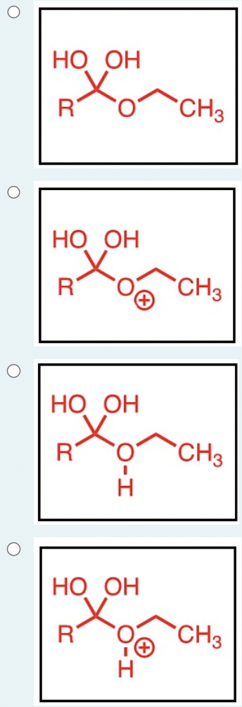 Solved The mechanistic arrow (see p. 32 of your lab manual) | Chegg.com