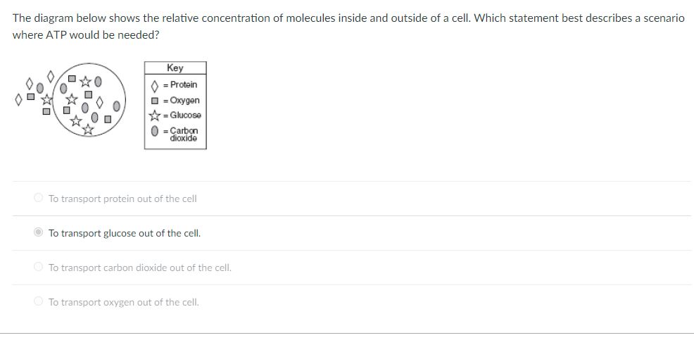 Solved The diagram below shows the relative concentration of | Chegg.com