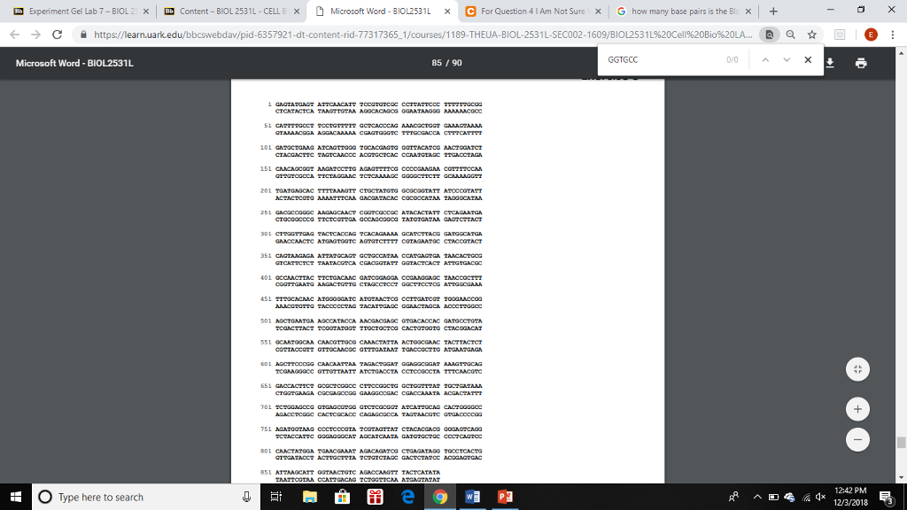 DMicrosoft Word- BIOL253LMicrosoft Word - BIOL2531L | Chegg.com