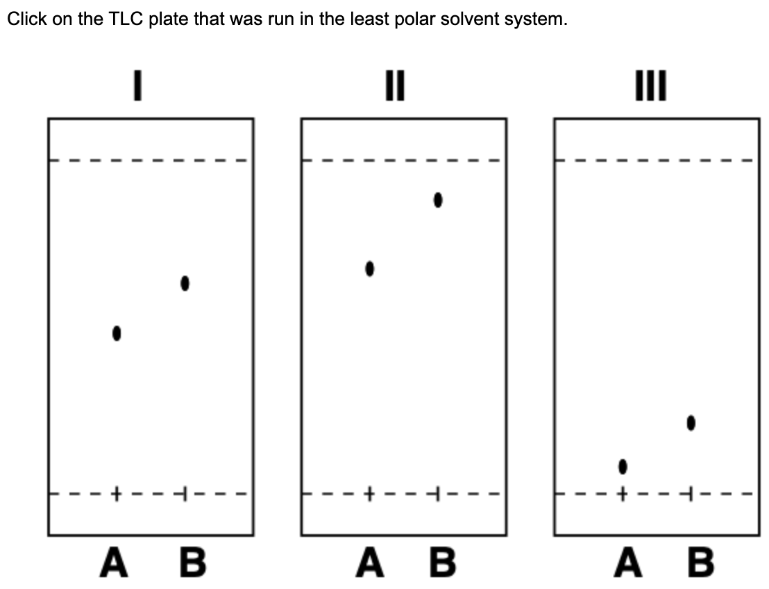 Solved can you mark/circle the correct spot and mention | Chegg.com