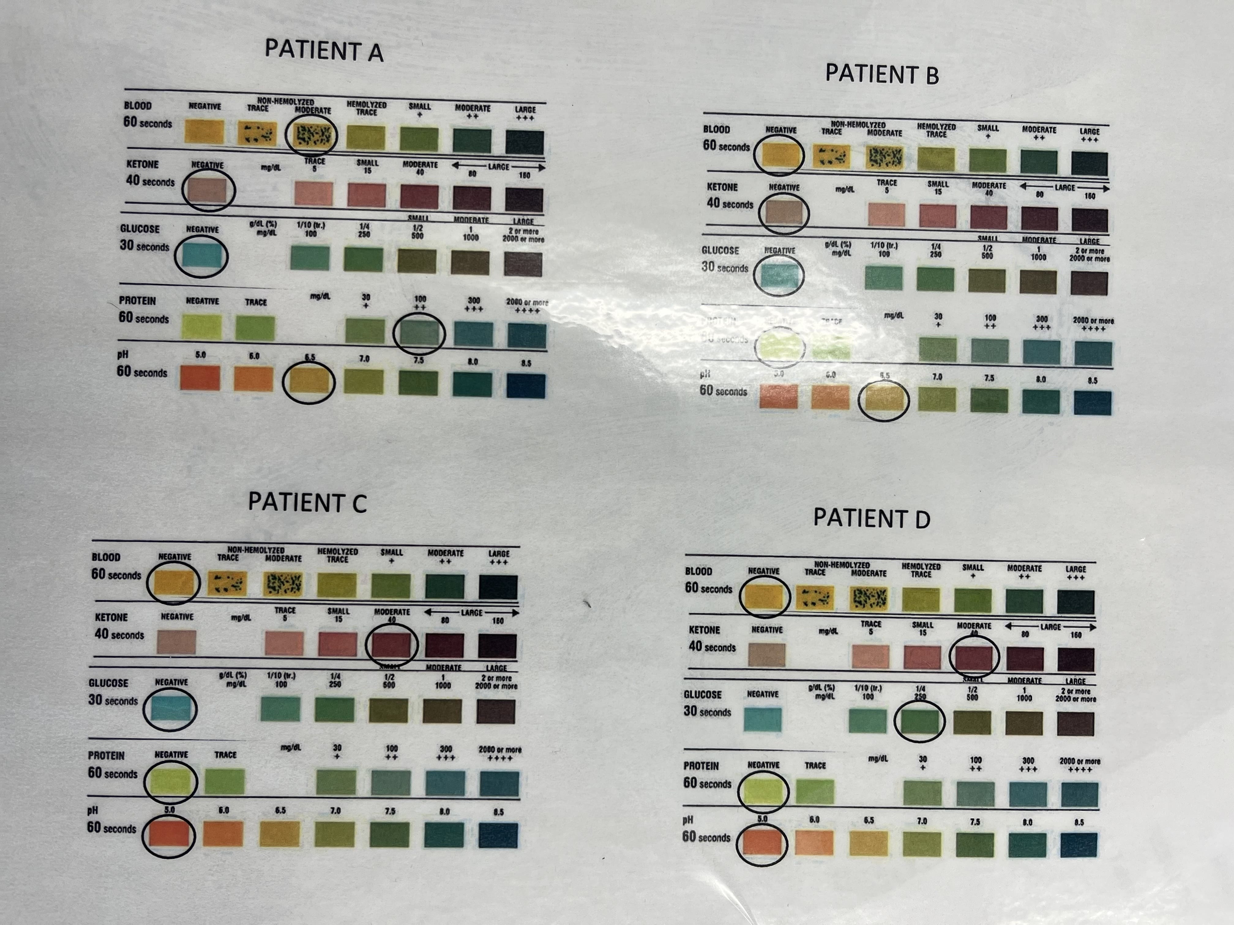 Solved Interpretation of Provided Samples Which patient is | Chegg.com