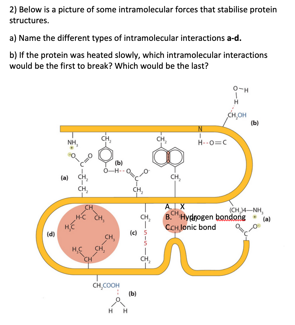 Solved 2) Below is a picture of some intramolecular forces | Chegg.com
