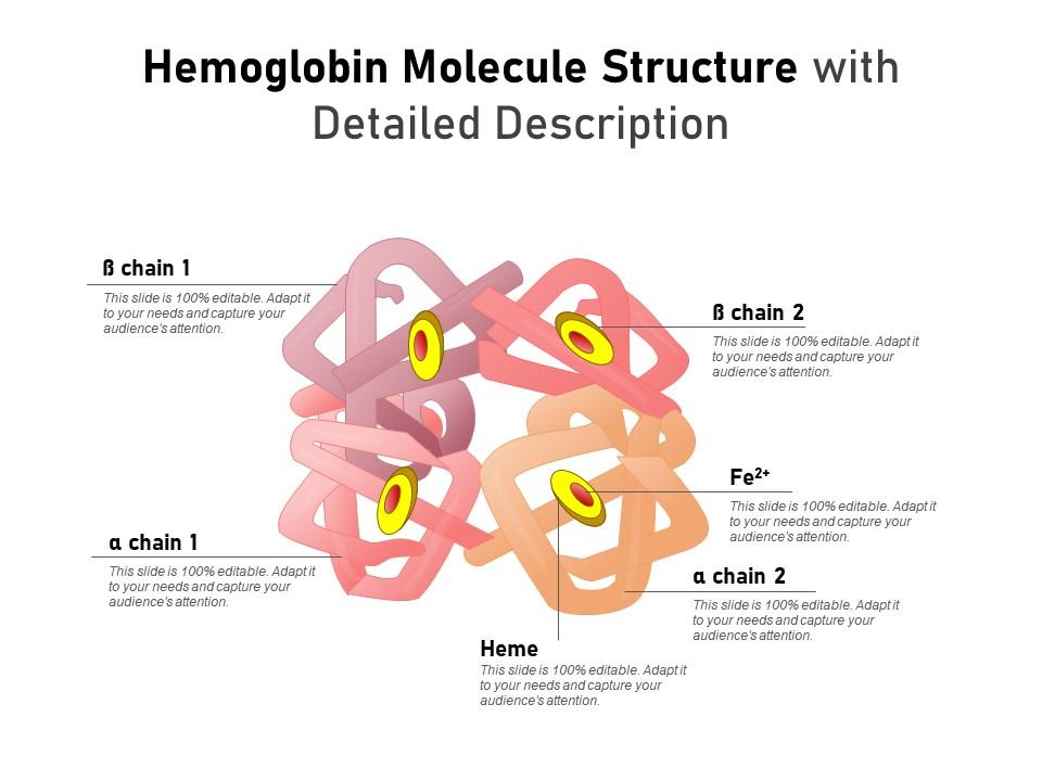 Solved 1. EXPLAIN AND DISCUSS IN FULL DETAIL Hemoglobin's | Chegg.com