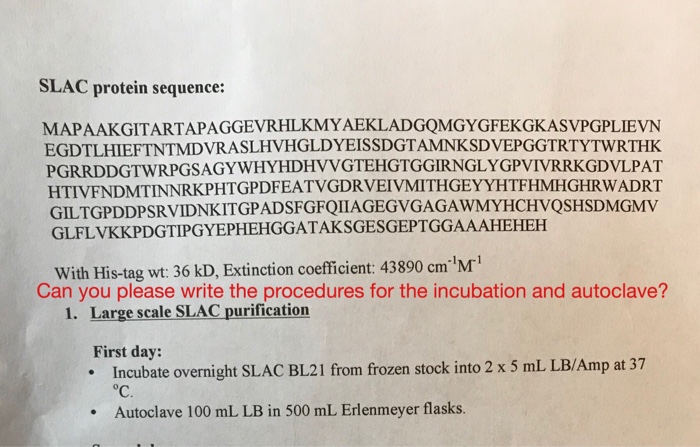 SLAC protein sequence: | Chegg.com